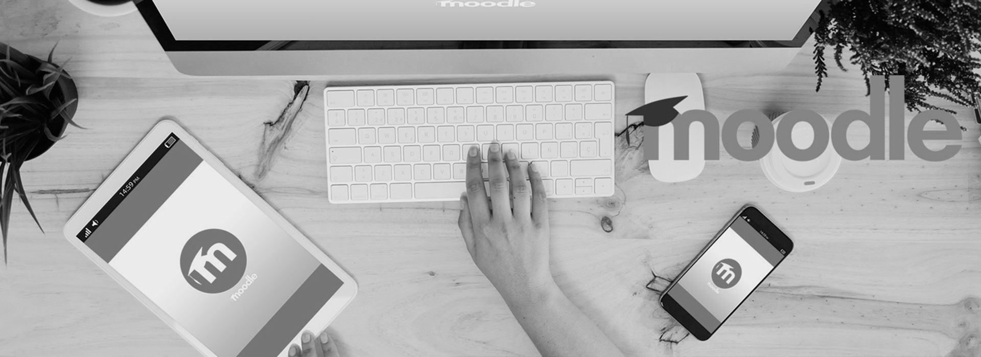 Logiprompt Techno Solutions India Pvt Ltd